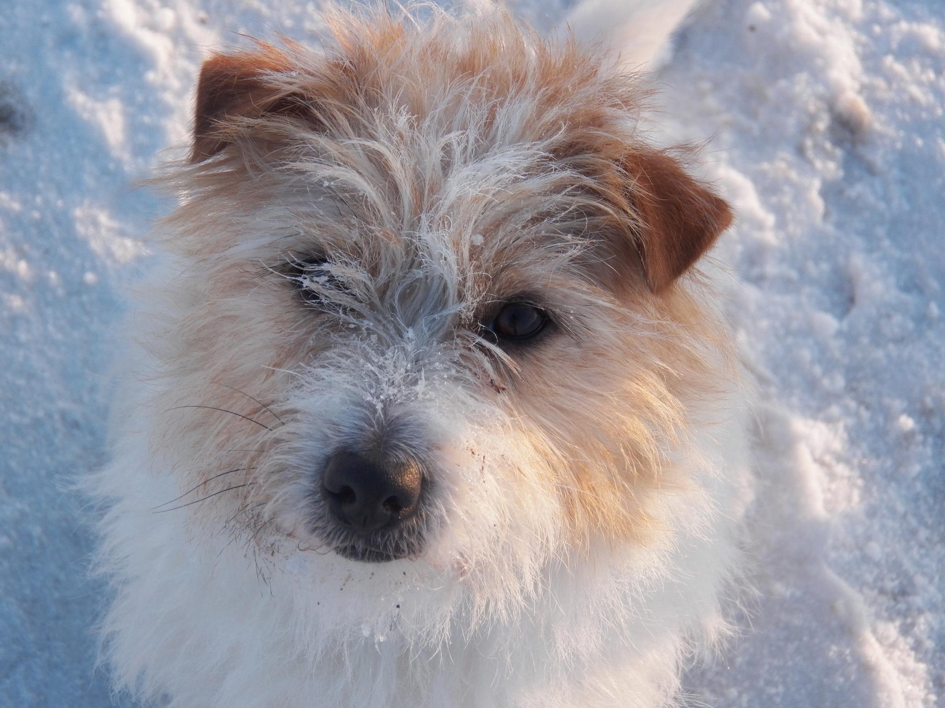 Piękna zima.. – UnitedTails