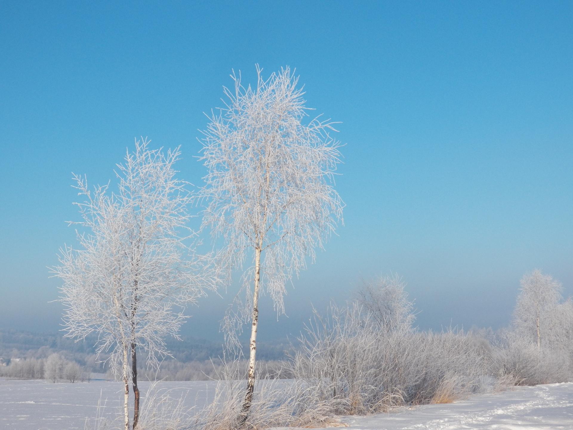 Piękna zima.. – UnitedTails